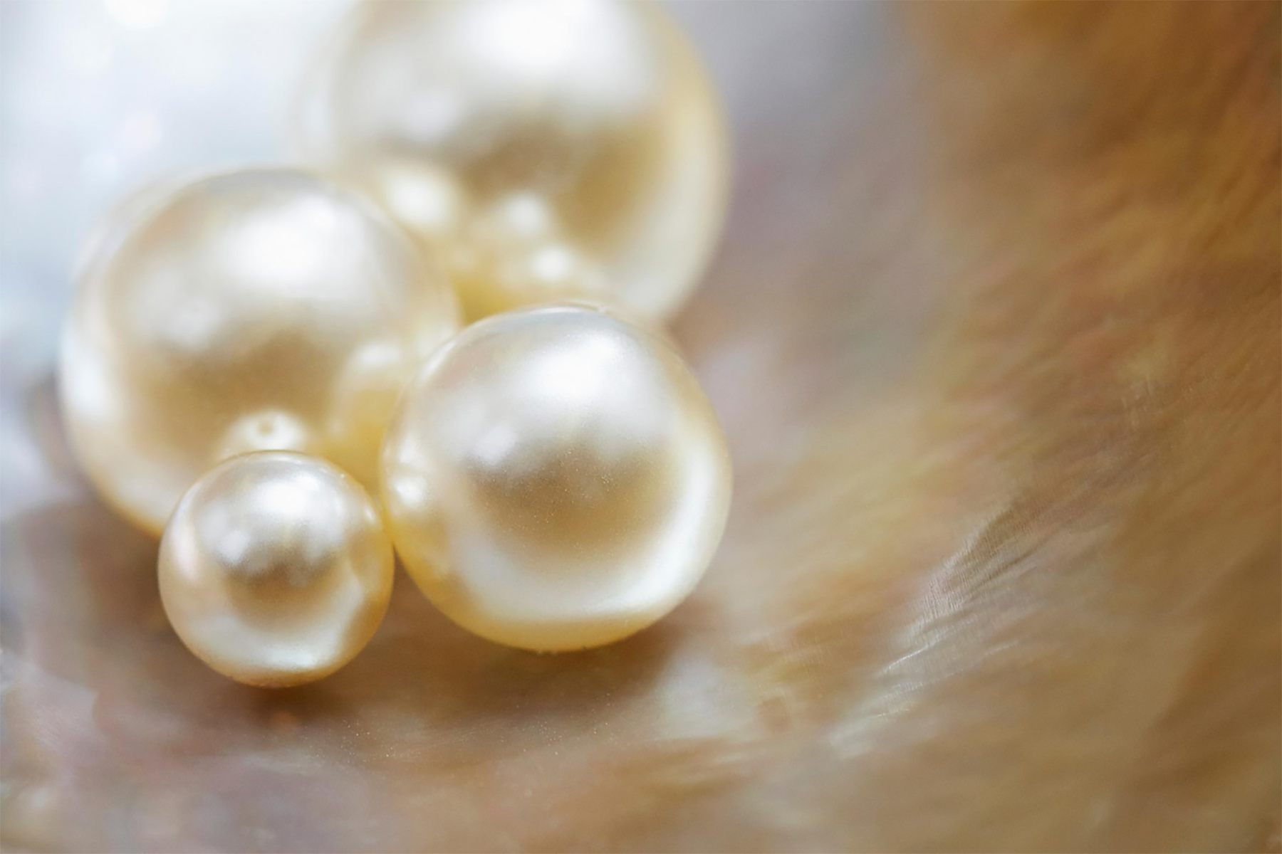 June Birthstone Jewelry - Pearl & Moonstone – GemondoTh
