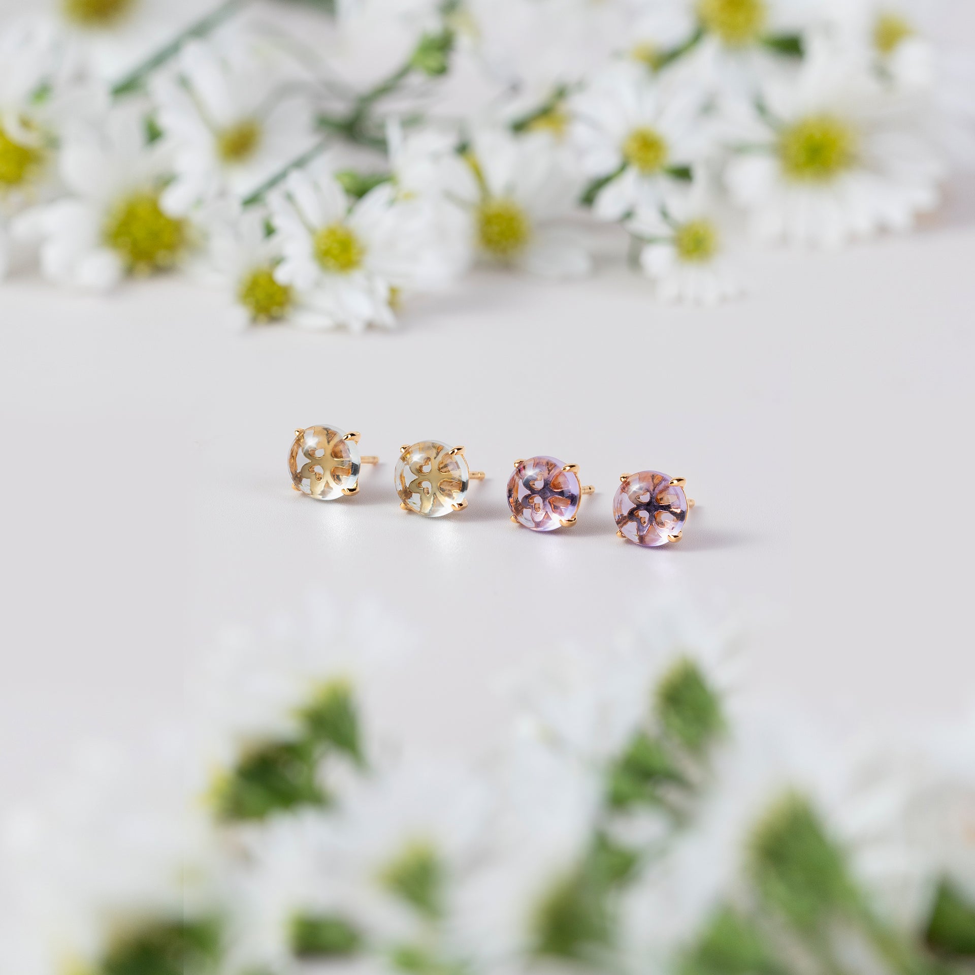 gardenia collection – GemondoTh